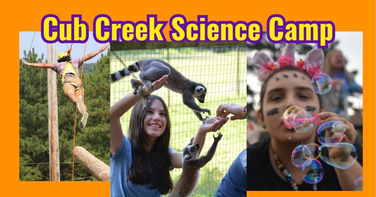 Cub Creek Science Camp | Camp America