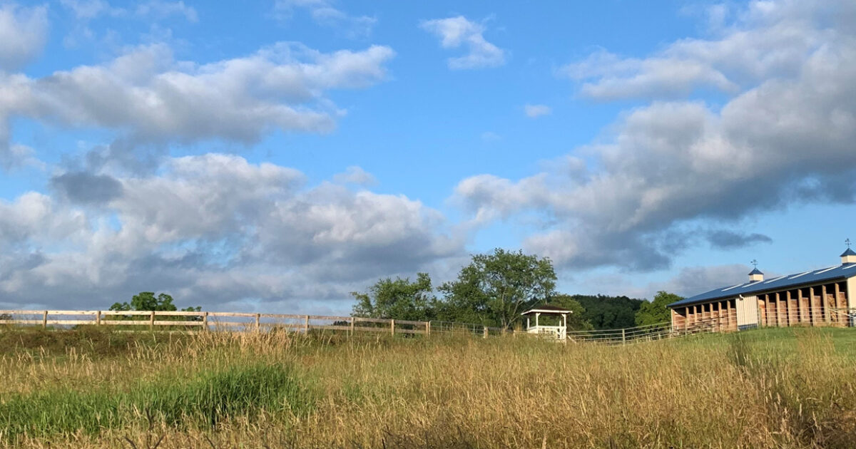 Camp Skymeadow | Camp America